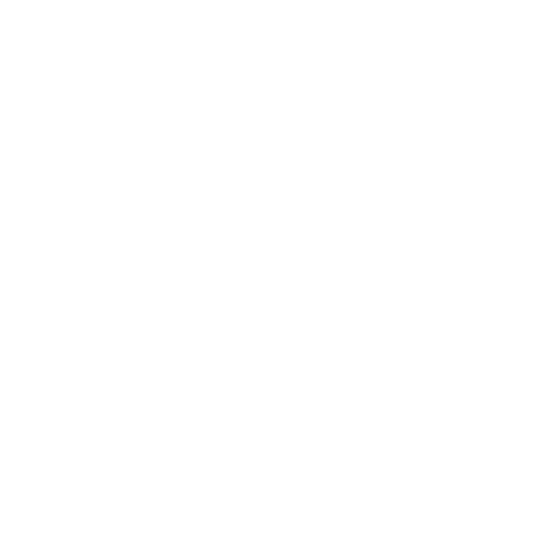 Austin & Olivia - Fixie Craft